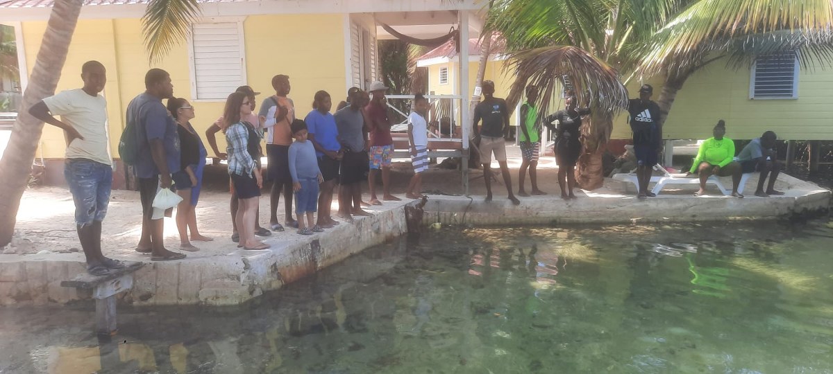 Mangrove Restoration – Caribbean Youth Environment Network (CYEN)