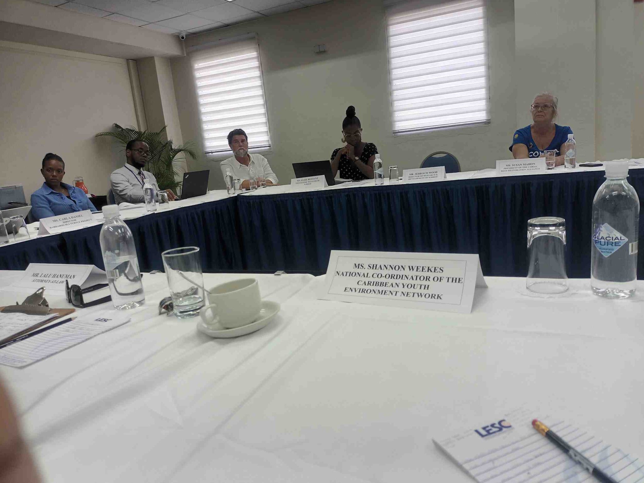 Civil Society Organization (CSO) Engagement with United Arab Emirates ...